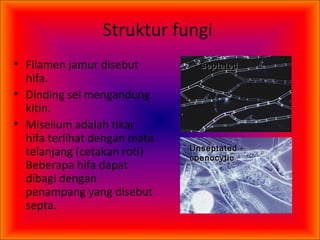 Fungi | PPT