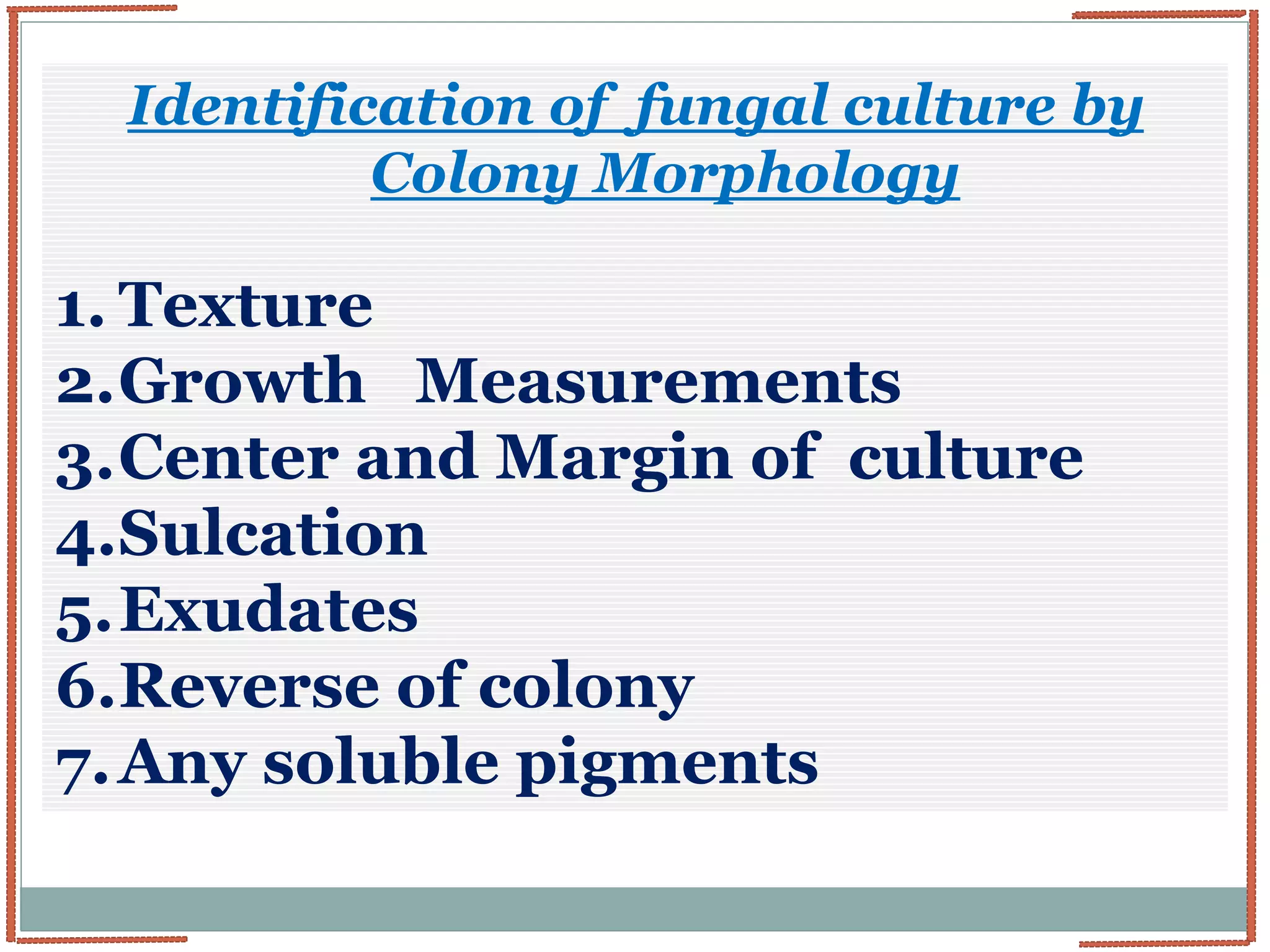 Identification of Fungi | PPTX