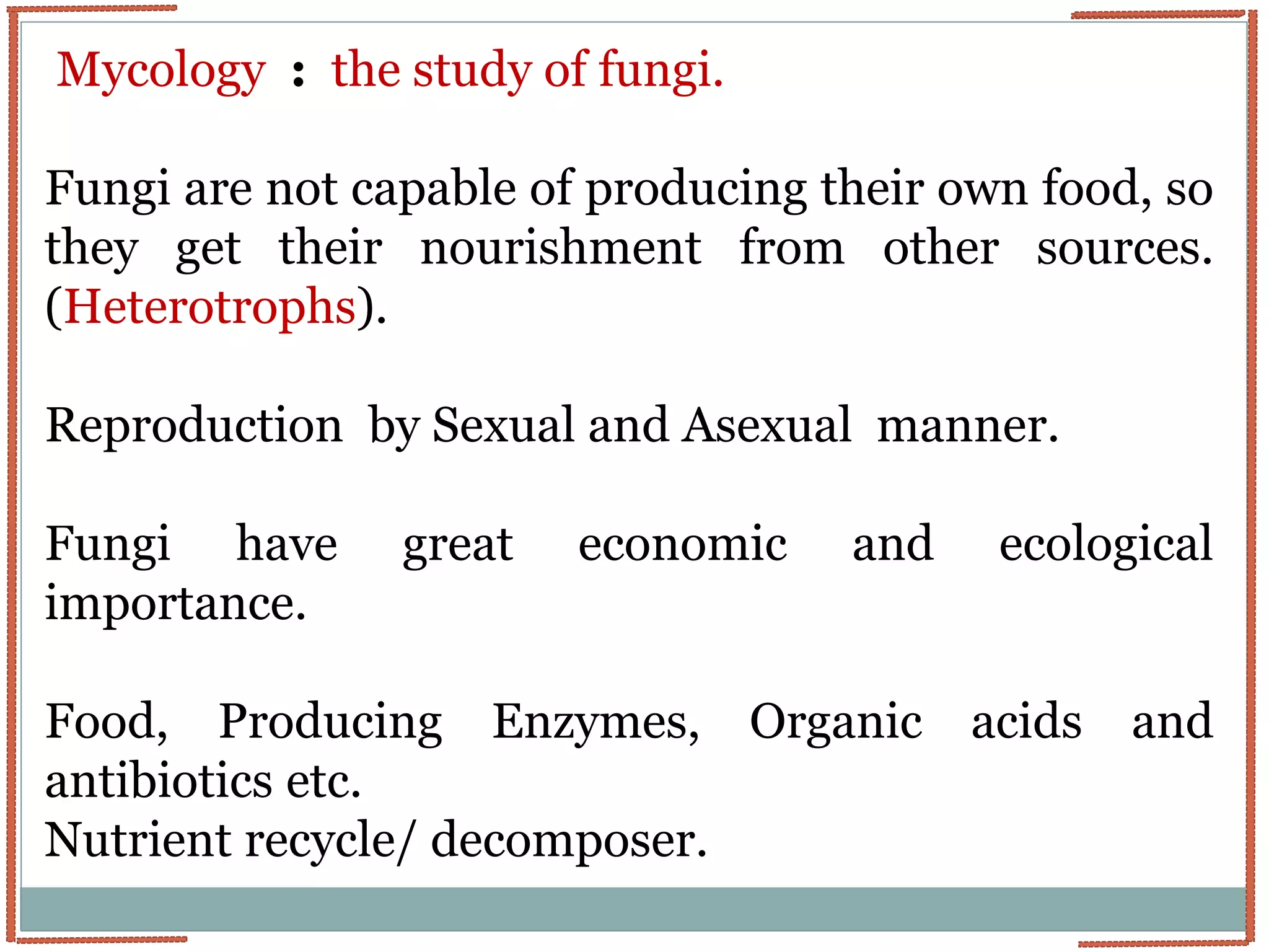 Identification of Fungi | PPTX