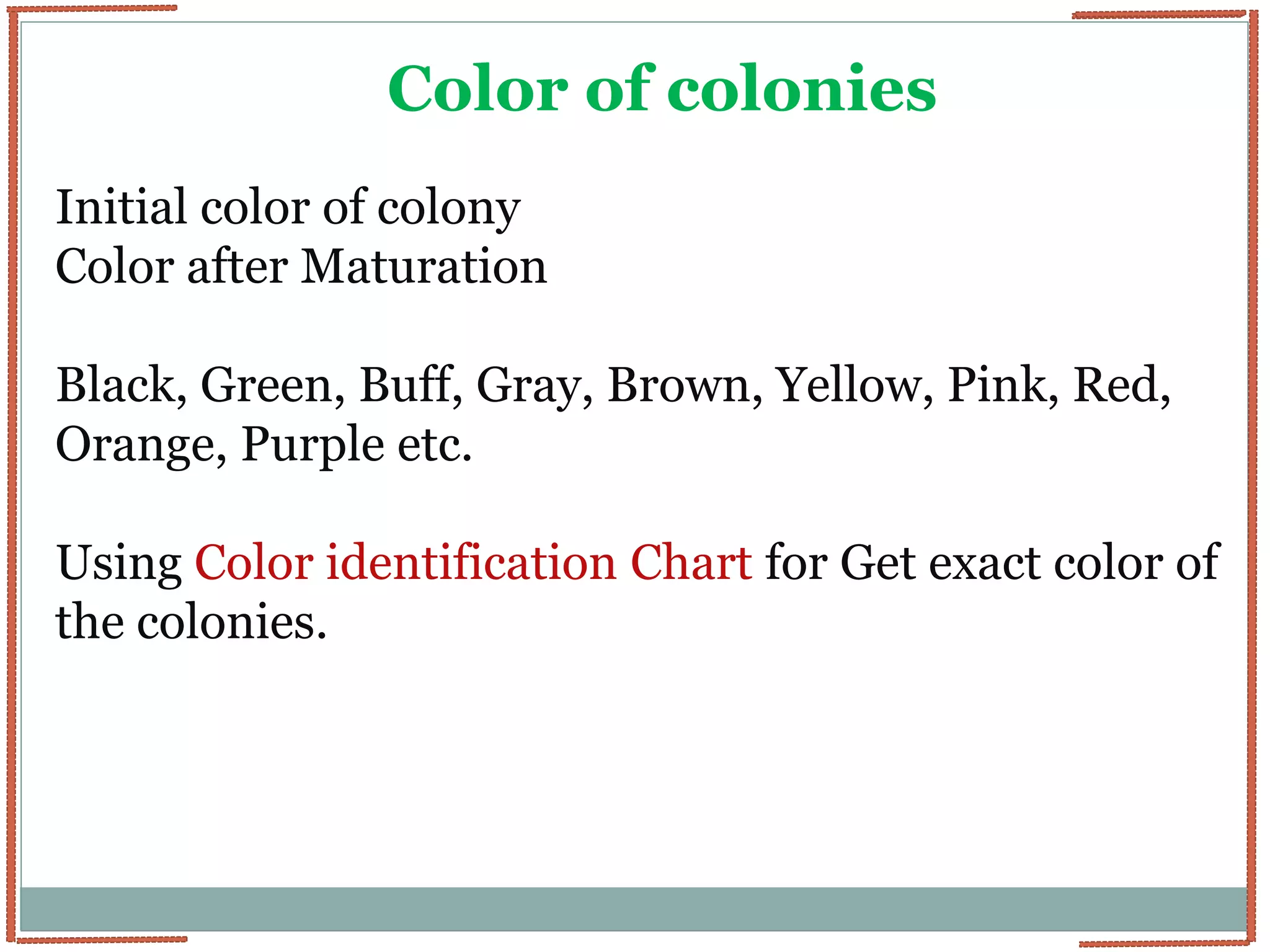 Identification of Fungi | PPTX