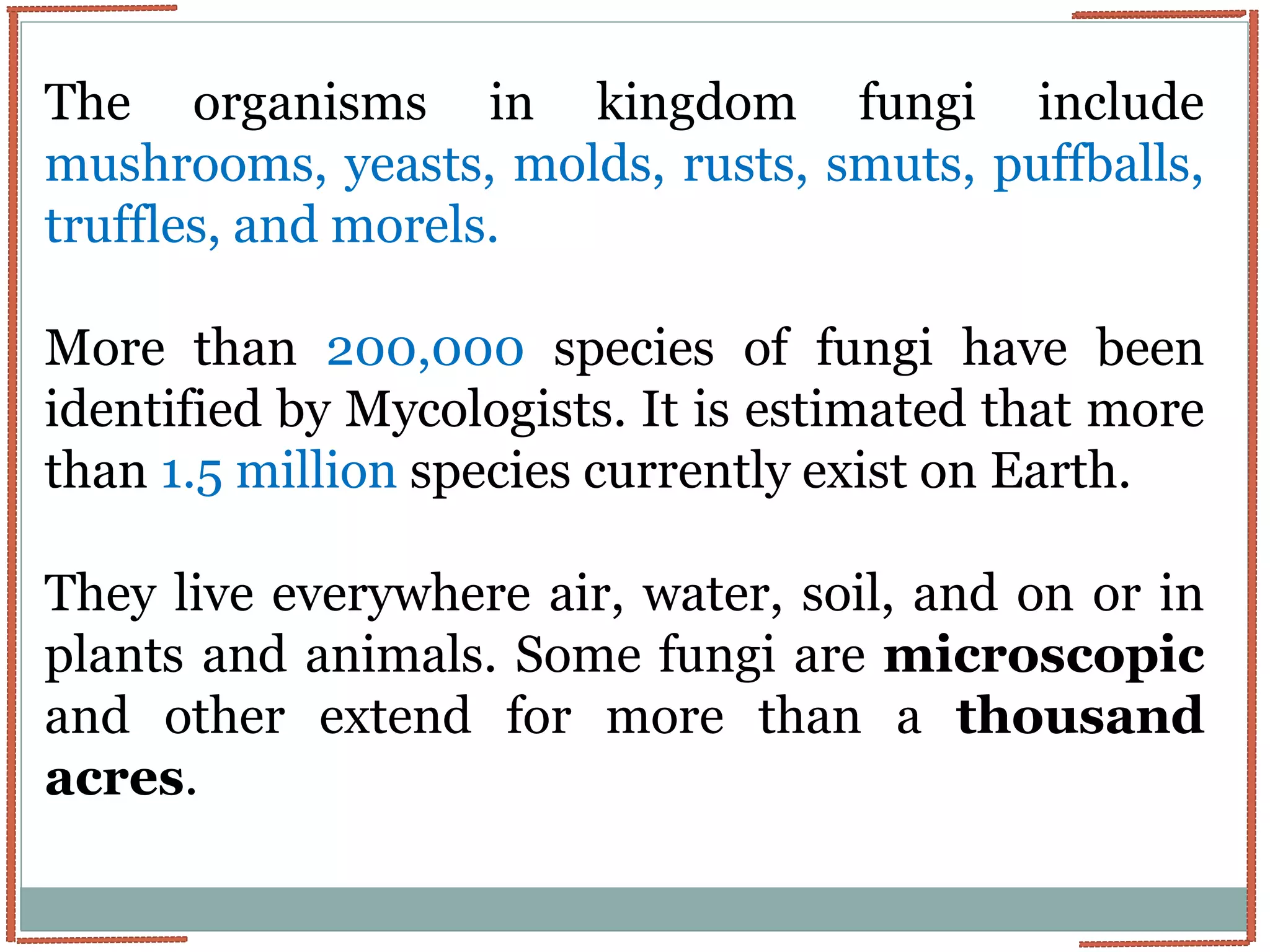 Identification of Fungi | PPTX