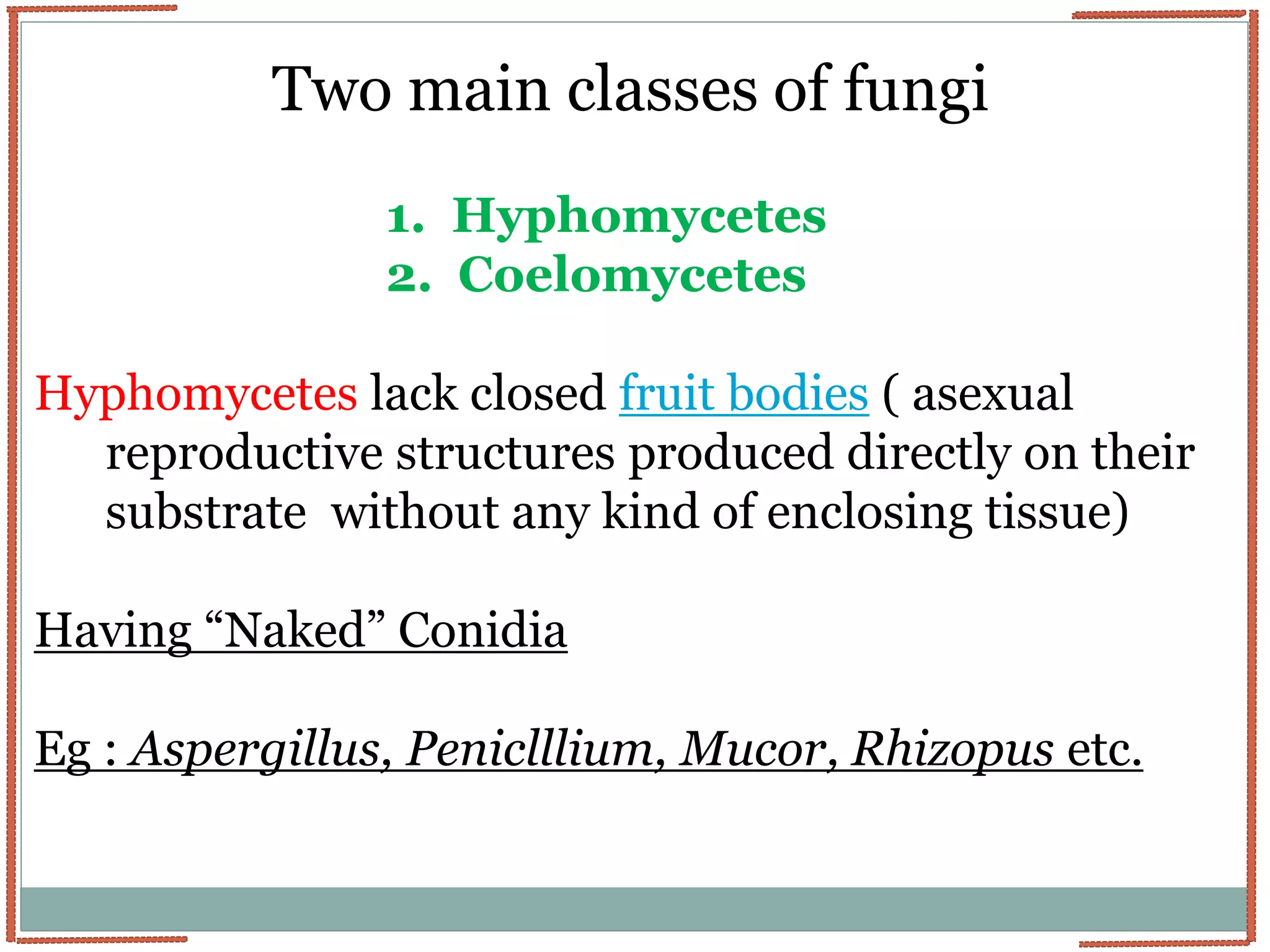 Identification of Fungi | PPTX