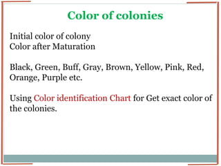 Identification of Fungi | PPTX