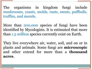 Identification of Fungi | PPTX