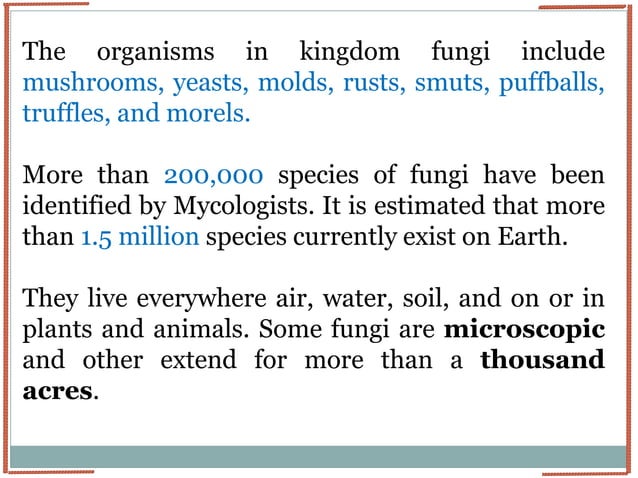 Identification of Fungi | PPTX