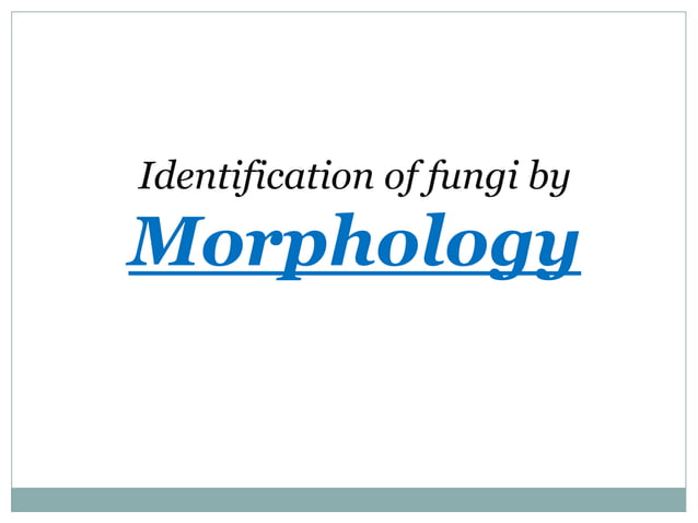 Identification of Fungi | PPTX