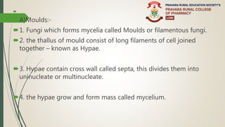 Fungi -Fungi including yeat and moulds, introduction, morphological ...