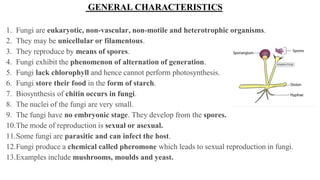 fungi pdf for classification n characteristics | PDF
