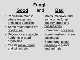 Fungi Kingdom | PPT