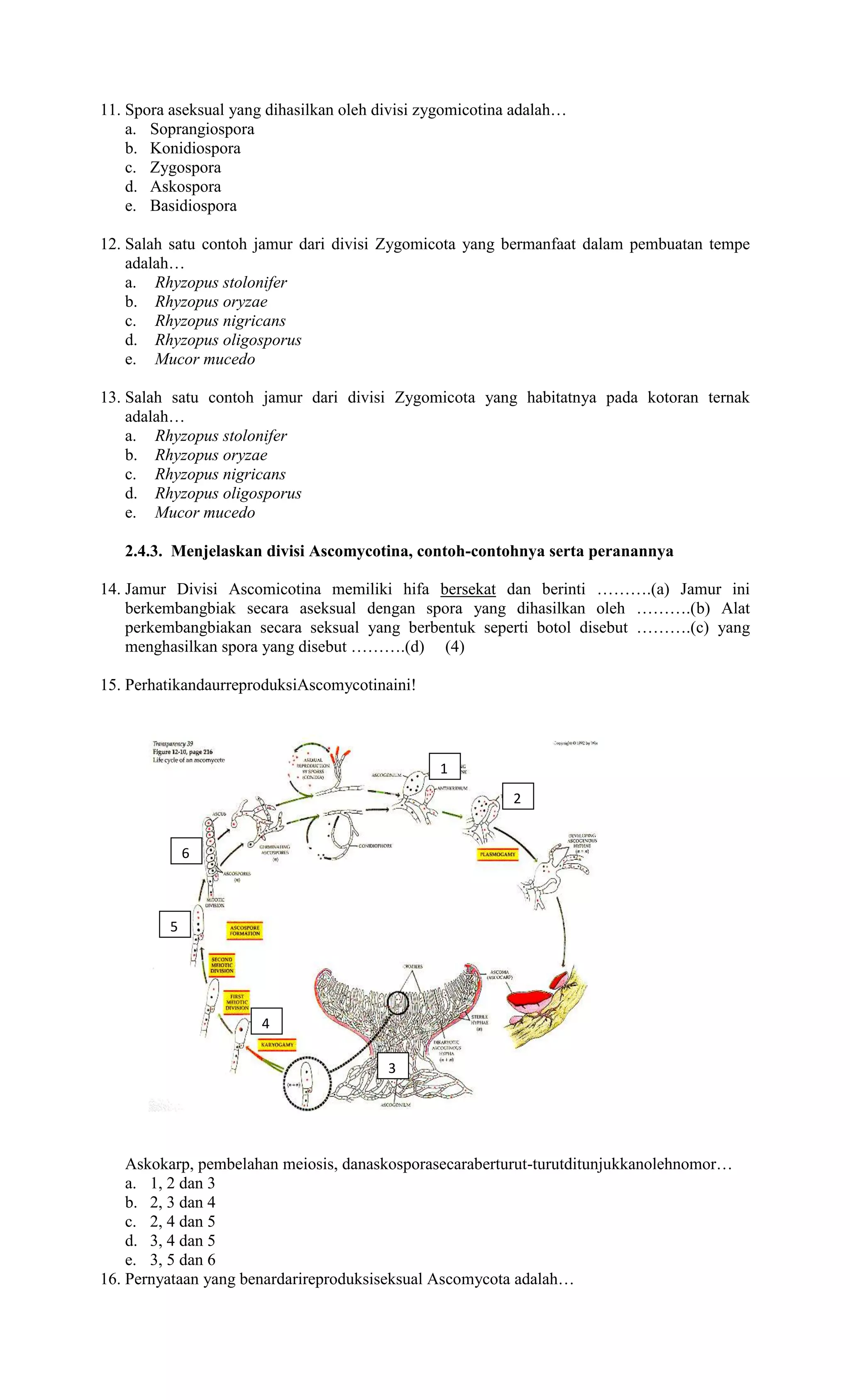 Soal Fungi 2012-2013 by Poslen Simbolon,S.Pd