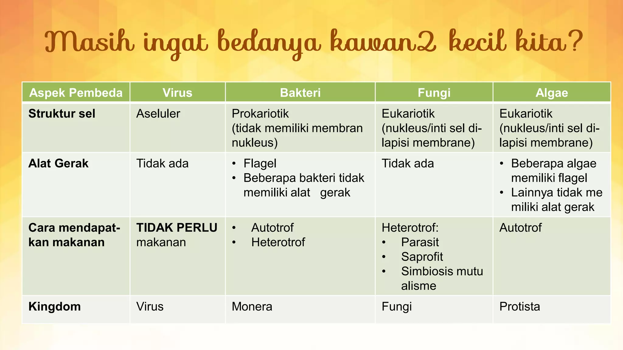 Fungi and algae | PDF