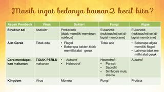 Fungi and algae | PDF
