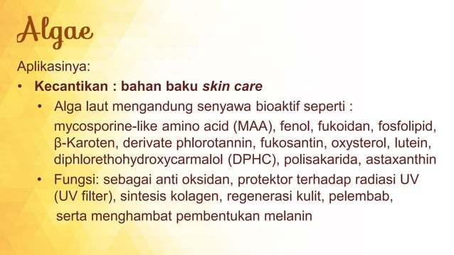 Fungi and algae | PDF