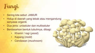 Fungi and algae | PDF