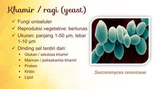 Fungi and algae | PDF