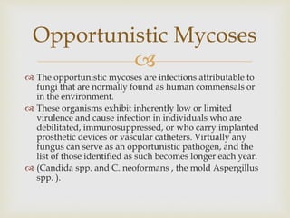 Fungi and antifungial therapy.pptx