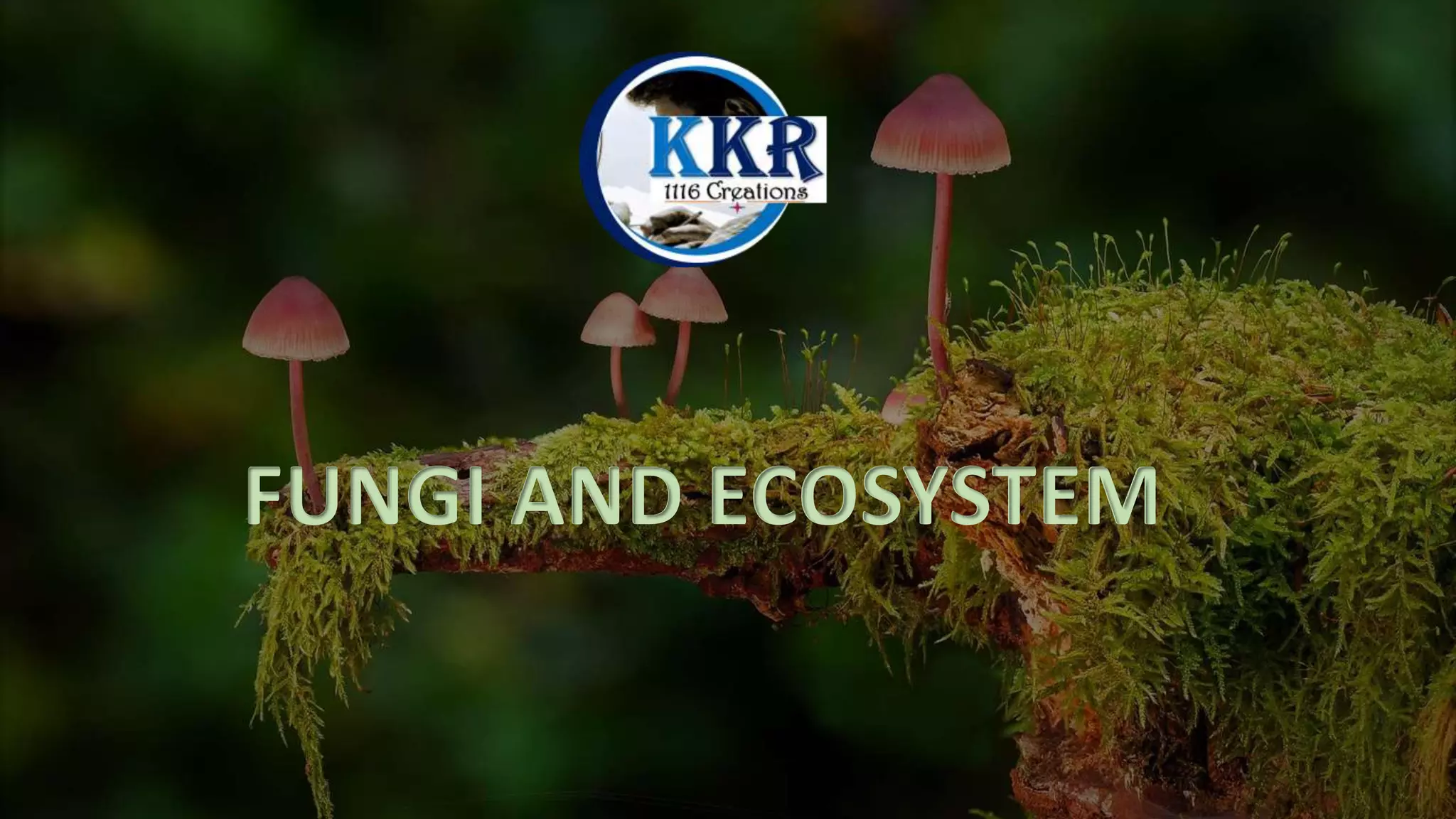 Fungi and ecosystem mode of nutrition | PPT