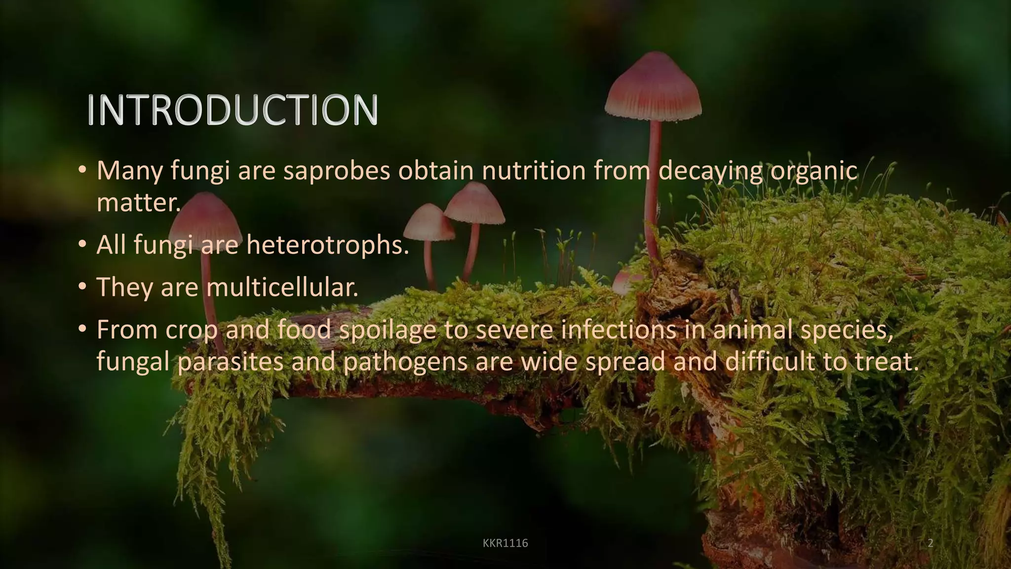 Fungi and ecosystem mode of nutrition | PPT