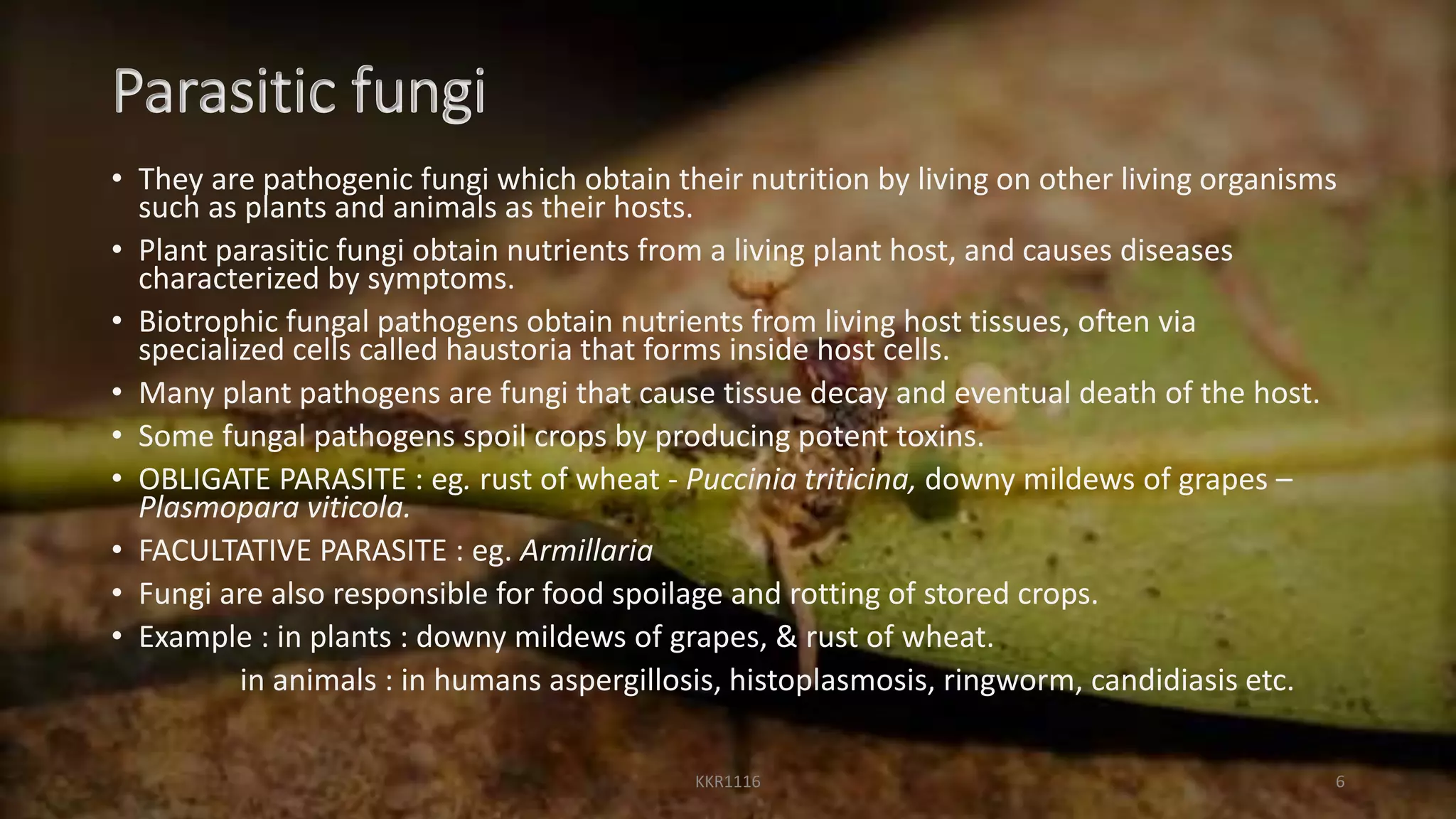 Fungi and ecosystem mode of nutrition | PPT
