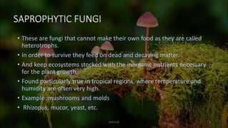 Fungi and ecosystem mode of nutrition | PPT