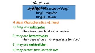 Fungi and lichens | PPT