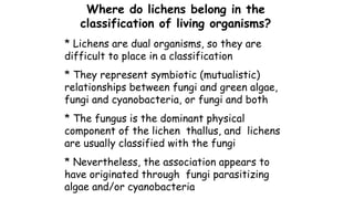 Fungi and lichens | PPT