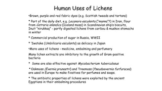 Fungi and lichens | PPT