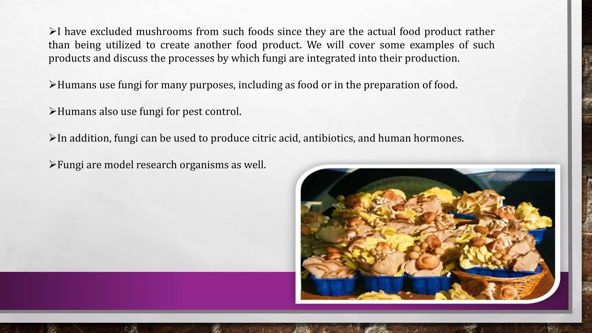 Fungi as medicine | PPTX