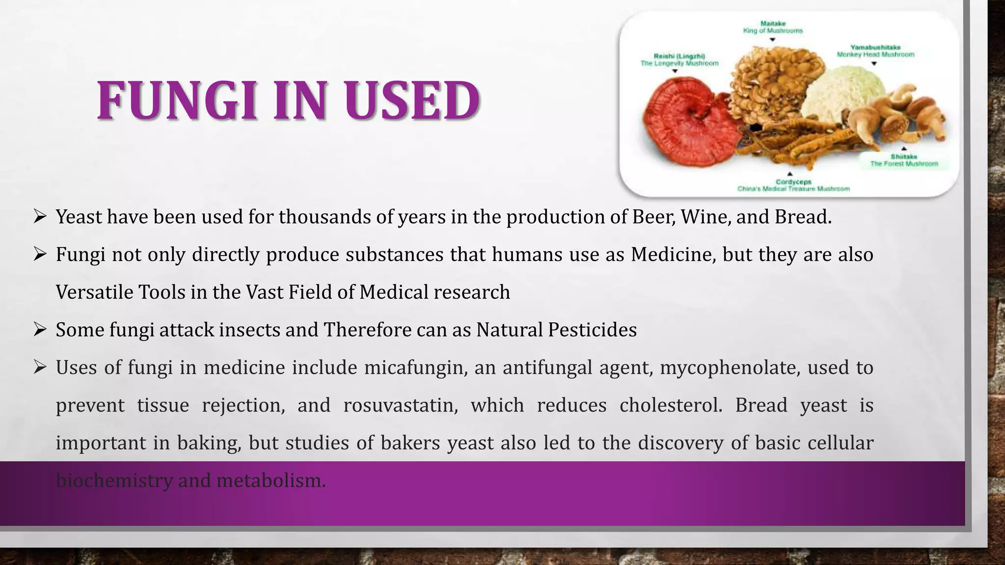 Fungi as medicine | PPTX