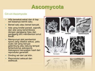 Klasifikasi Jamur/Fungi | PPTX