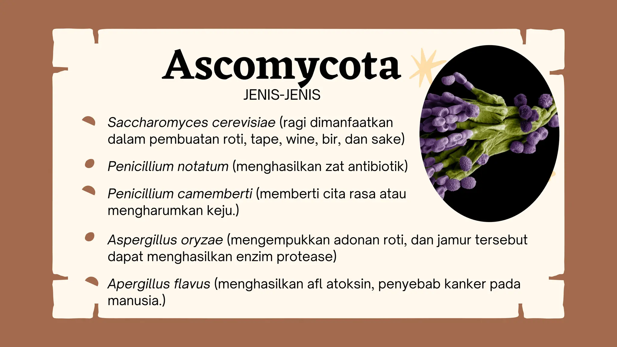 power point Fungi/ jamur (BIOLOGI kelas X) | PDF