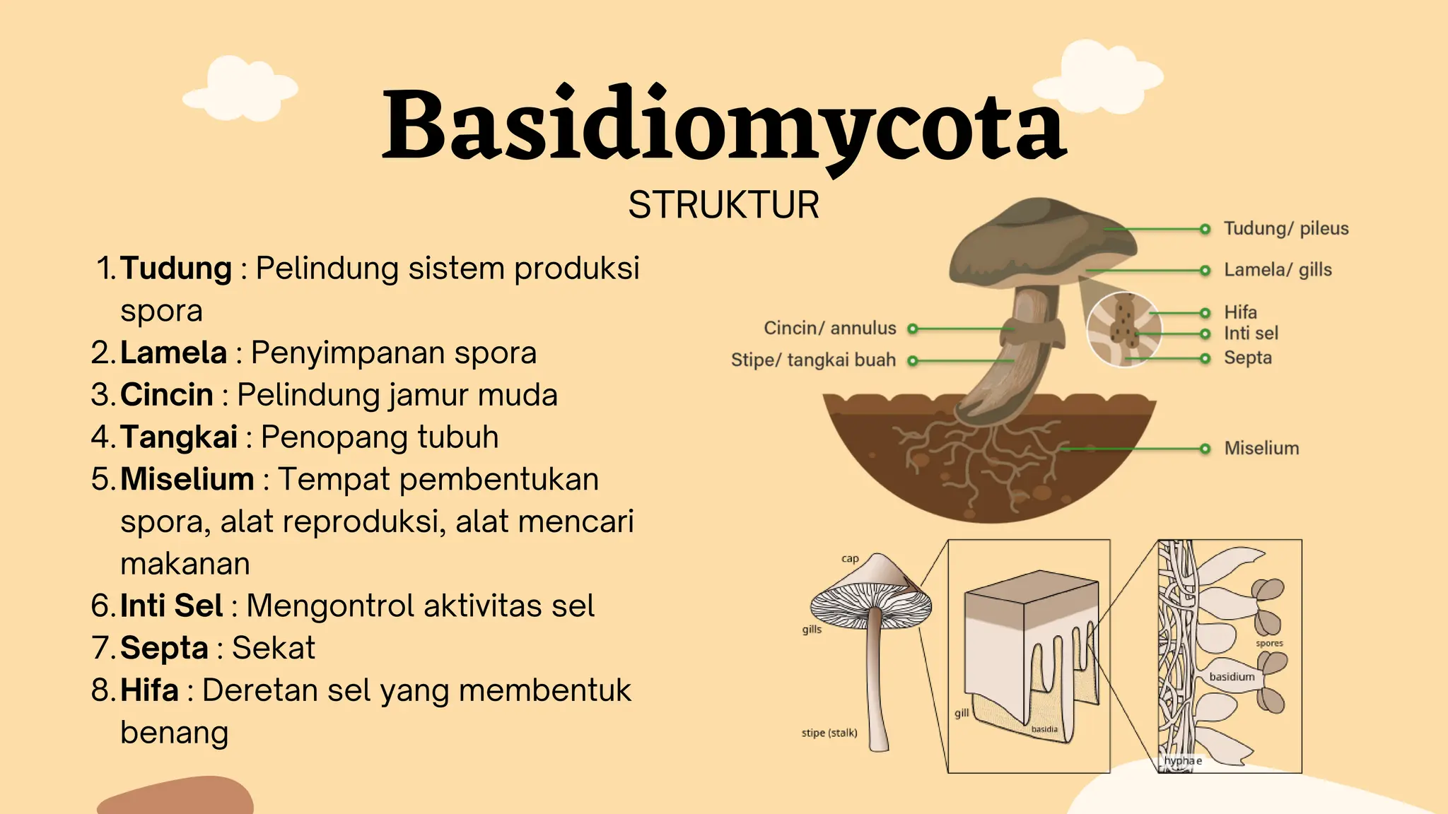 power point Fungi/ jamur (BIOLOGI kelas X) | PDF