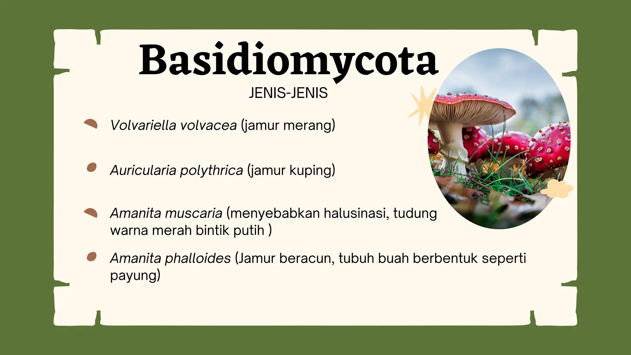 power point Fungi/ jamur (BIOLOGI kelas X) | PDF