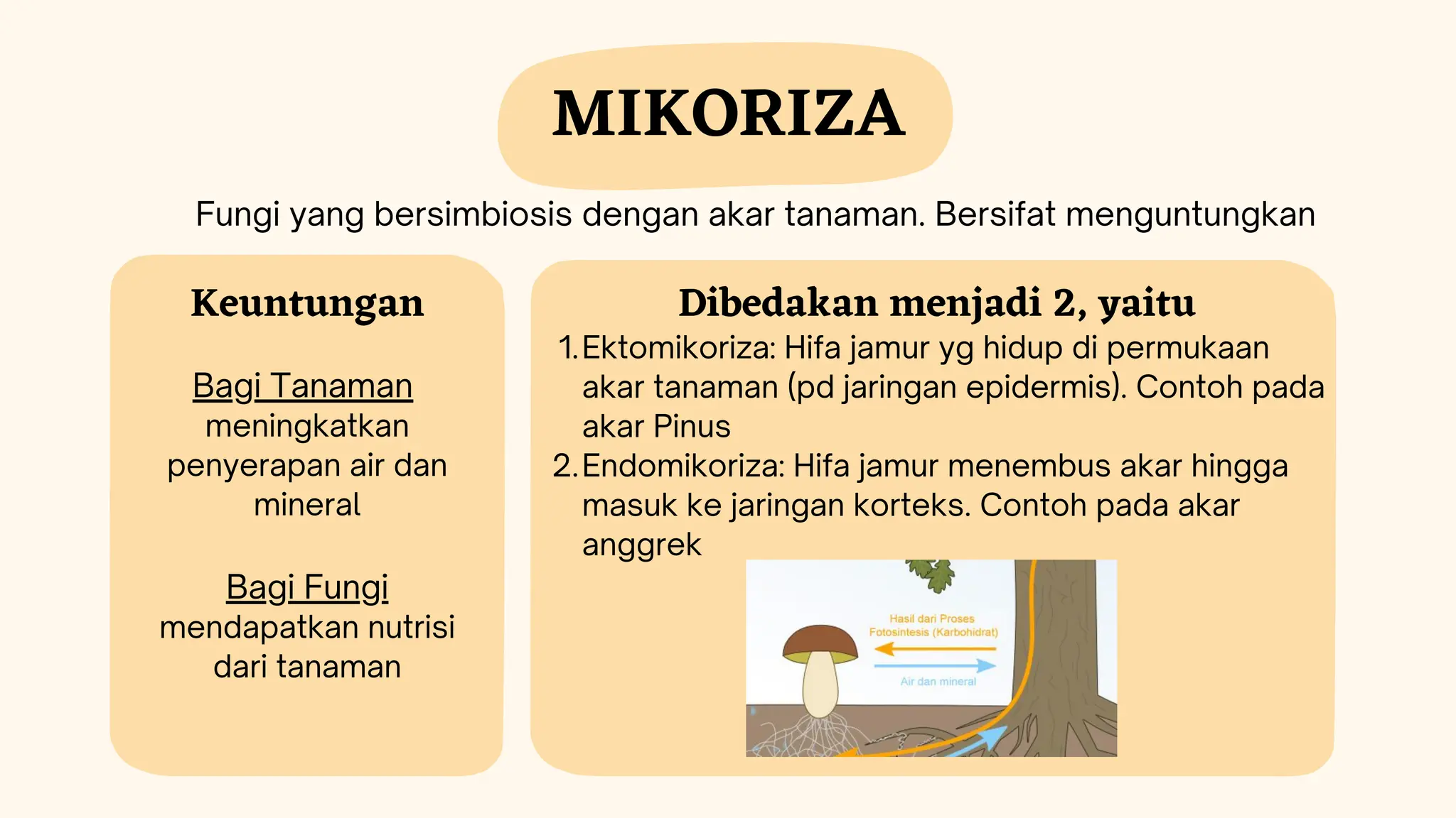 power point Fungi/ jamur (BIOLOGI kelas X) | PDF