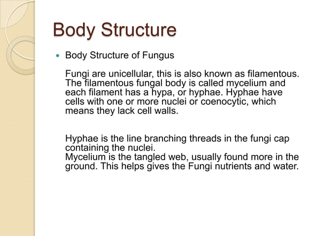 Fungi – body structure and life cycle | PPTX
