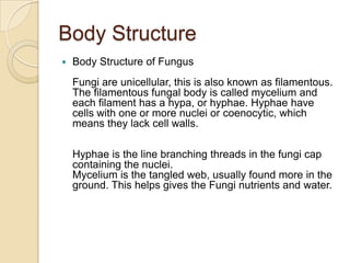 Fungi – body structure and life cycle | PPTX
