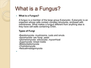 Fungi – body structure and life cycle | PPTX