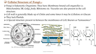 Fungi botany | PDF