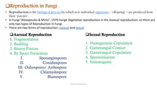 Fungi botany | PDF