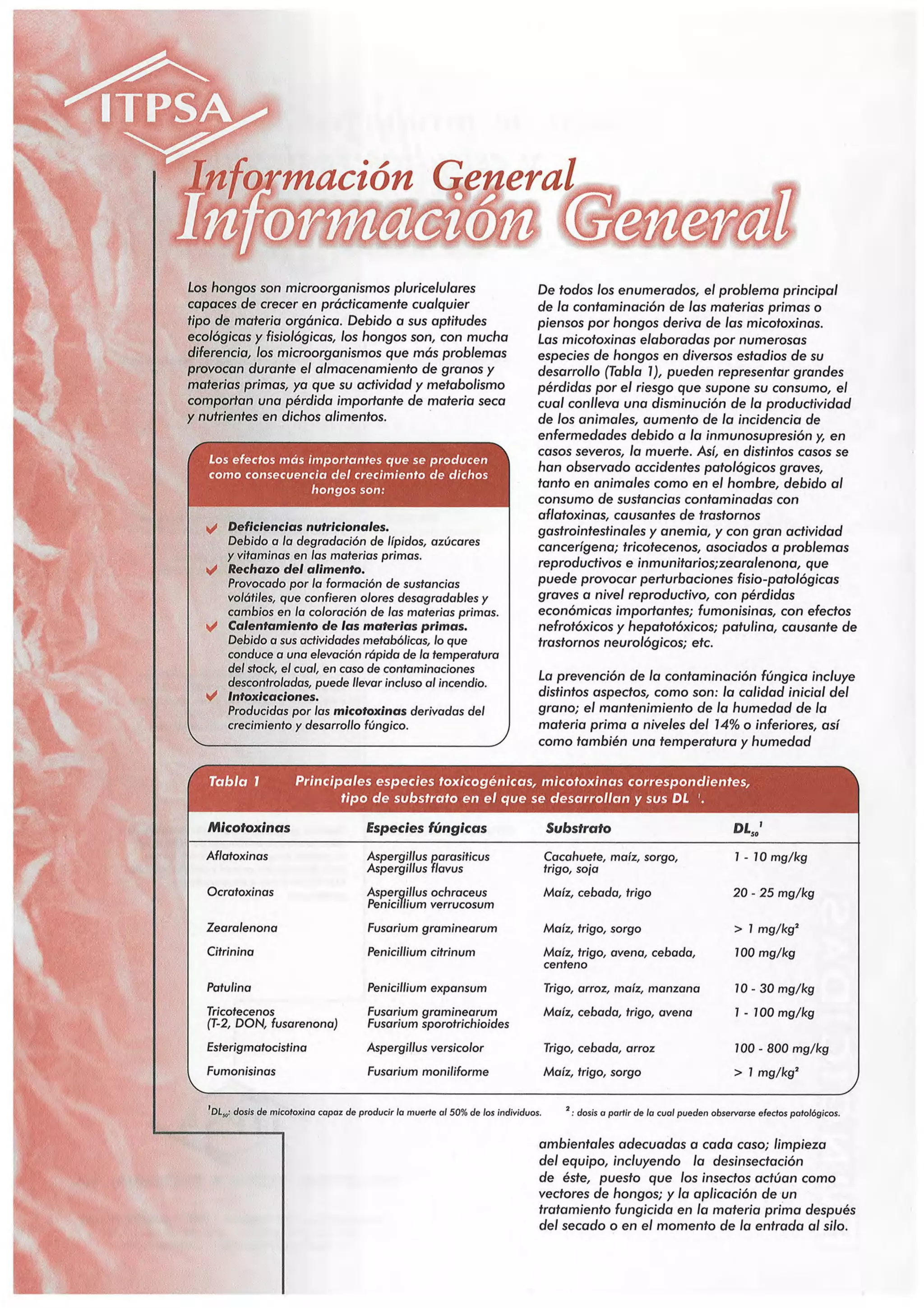 Fungicap | PDF
