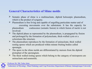 Fungi Chap-1-Slime Mold all about it.pptx