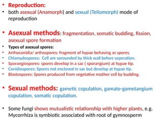 Fungi characteristic-1.pptx classification of fungi | PPTX