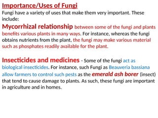 Fungi characteristic-1.pptx classification of fungi | PPTX