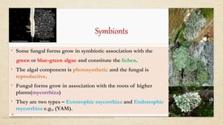 Fungi characteristic features | PPTX