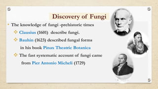 Fungi characteristic features | PPTX