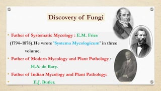 Fungi characteristic features | PPT