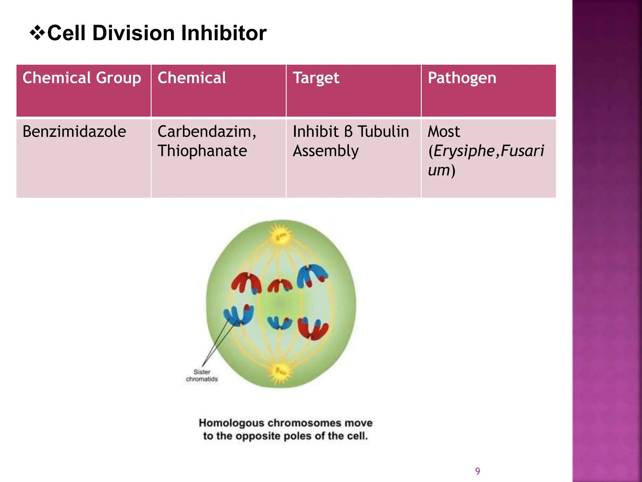 Fungicide groups , modes of action and effective pathogen control.ppt