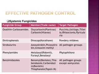 Fungicide groups , modes of action and effective pathogen control.ppt