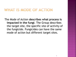 Fungicide groups , modes of action and effective pathogen control.ppt