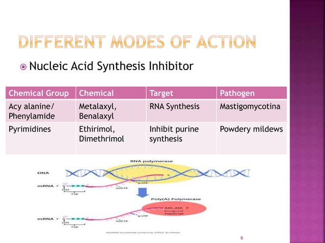 Fungicide groups , modes of action and effective pathogen control.ppt